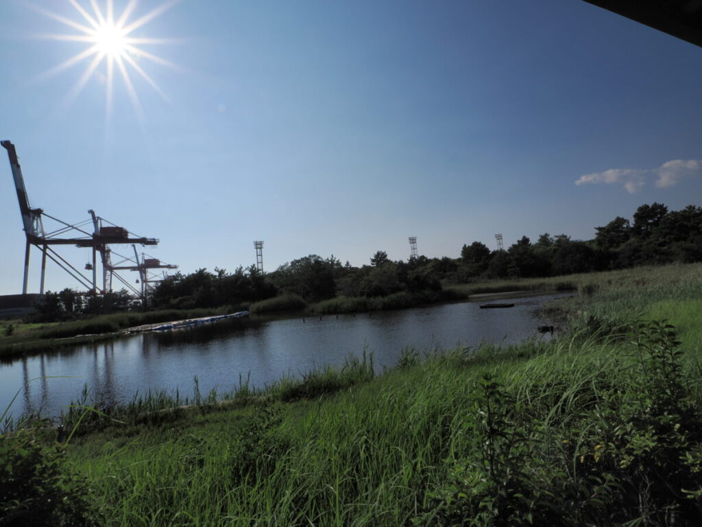 M.ZUIKO DIGITAL ED 8-25mm F4.0 PROのレビューと作例写真 | 撮りパシャ！